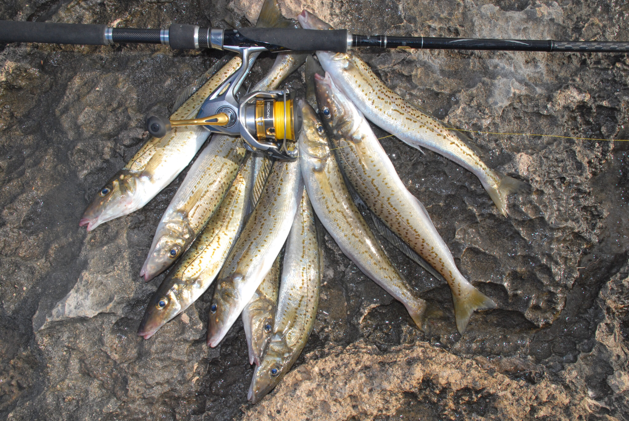 Coffin Bay Fishing - Fishing World Australia