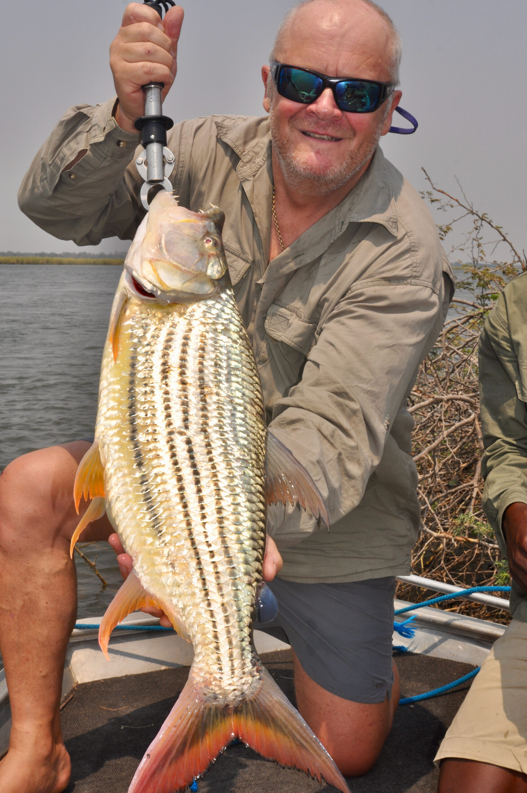 Chasing tigers in Africa - Fishing World Australia