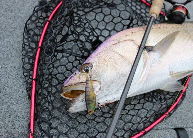 5 ways to keep ice longer - Fishing World Australia