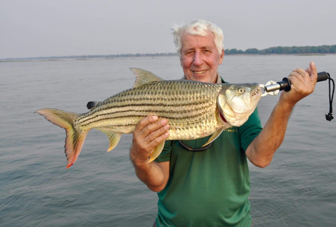 Chasing tigers in Africa - Fishing World Australia