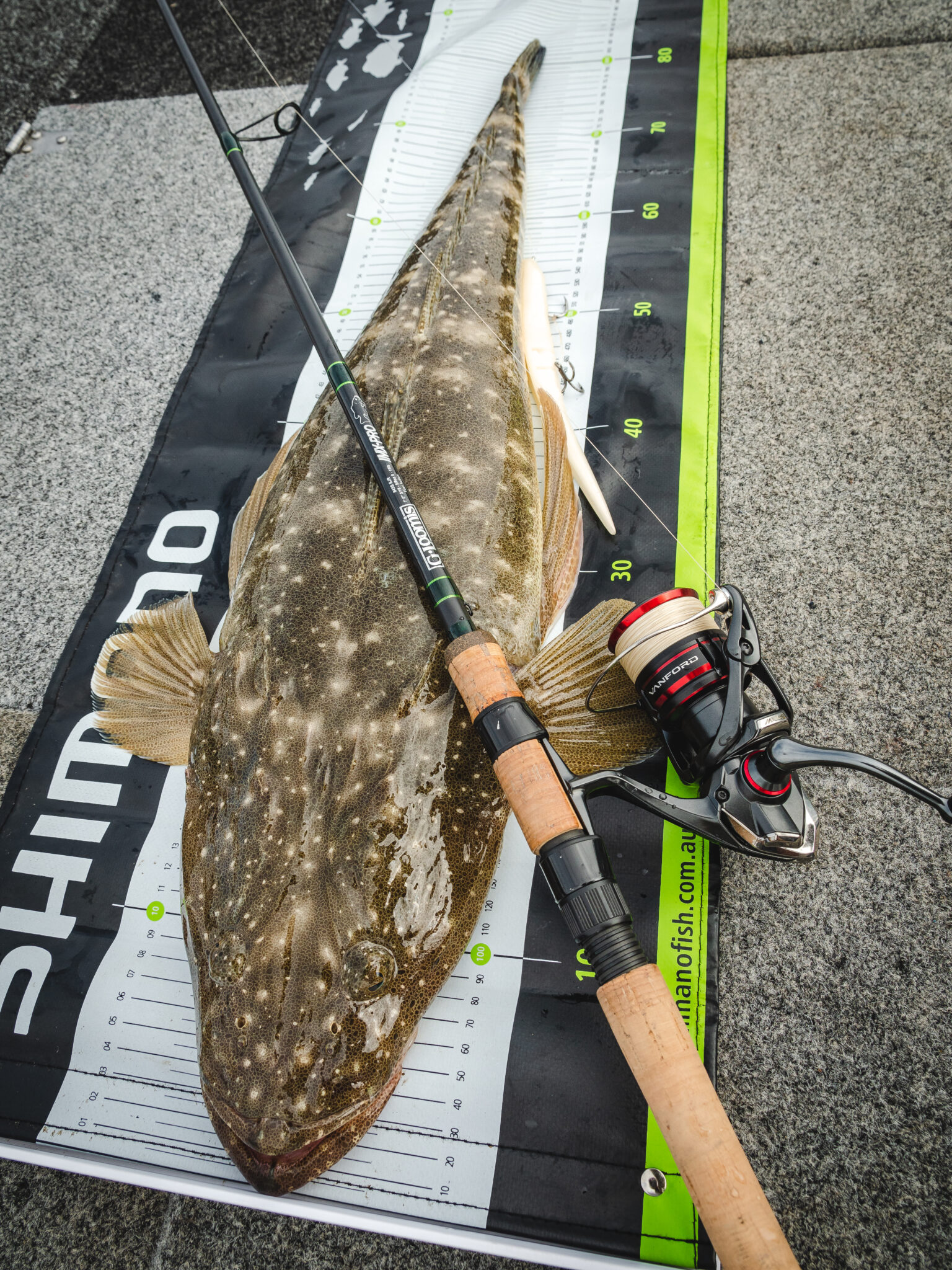 Big lures for trophy flathead - Fishing World Australia