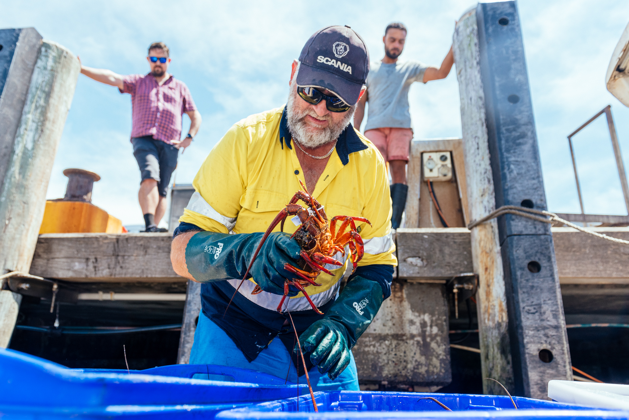 Back from the brink: NSW lobster fishery - Fishing World Australia