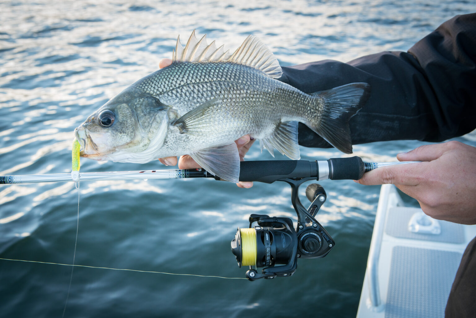 Freshwater fishing basics - Fishing World Australia