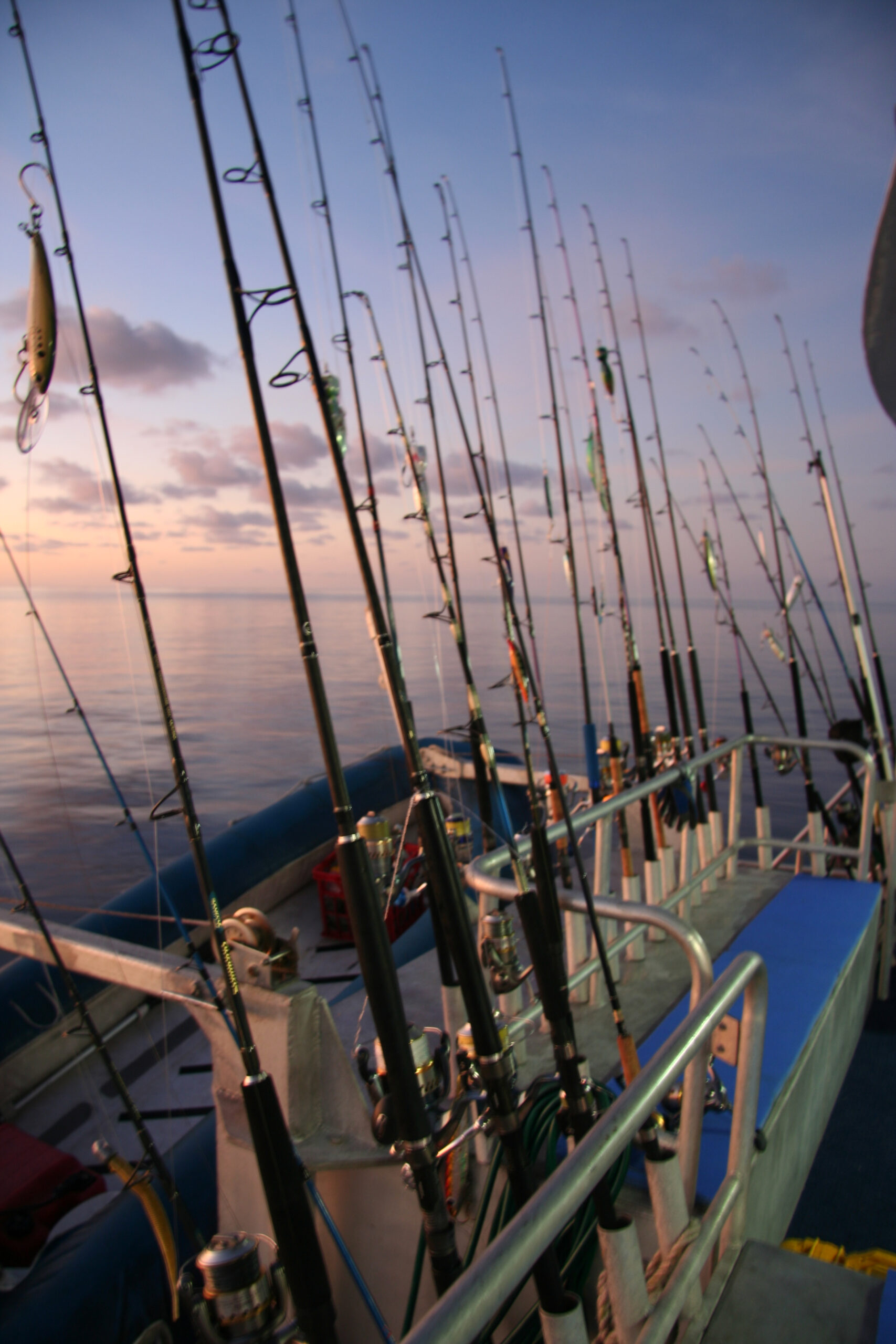 Organising fishing tackle - Fishing World Australia