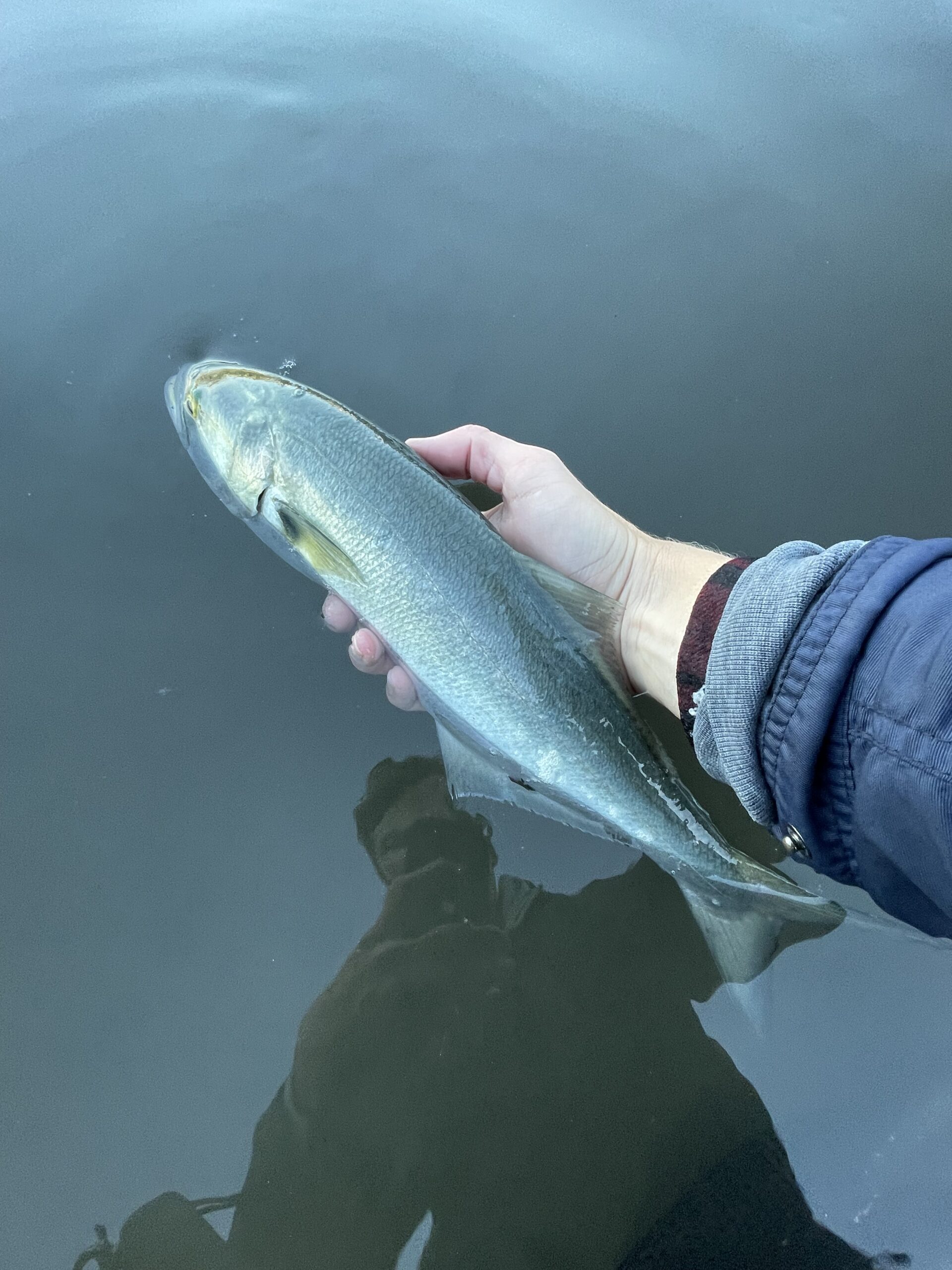 Wading the flats - Fishing World Australia