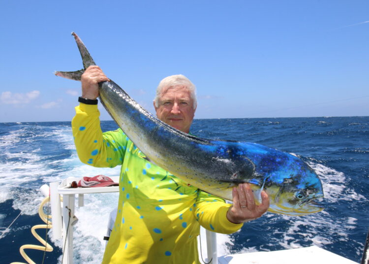 Southern bluefin bred in captivity - Fishing World Australia