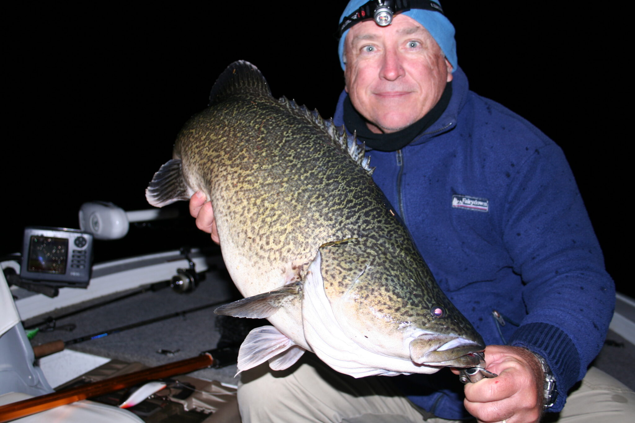 Understanding fish behaviour - Fishing World Australia