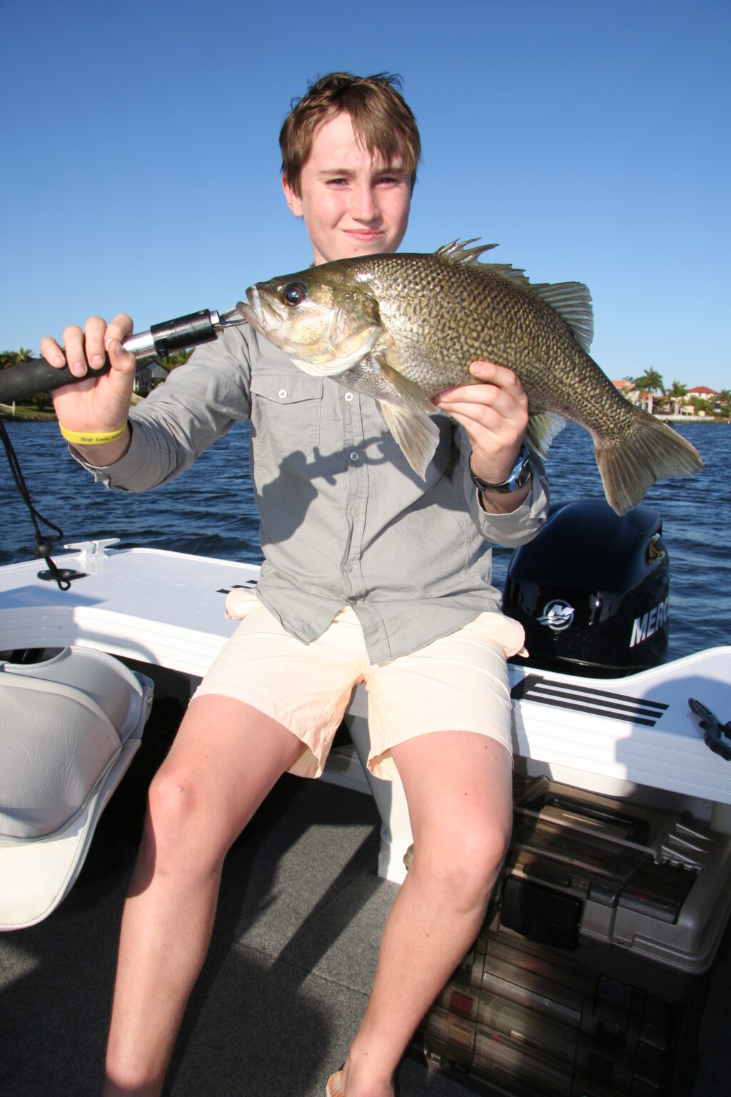 Understanding fish behaviour - Fishing World Australia