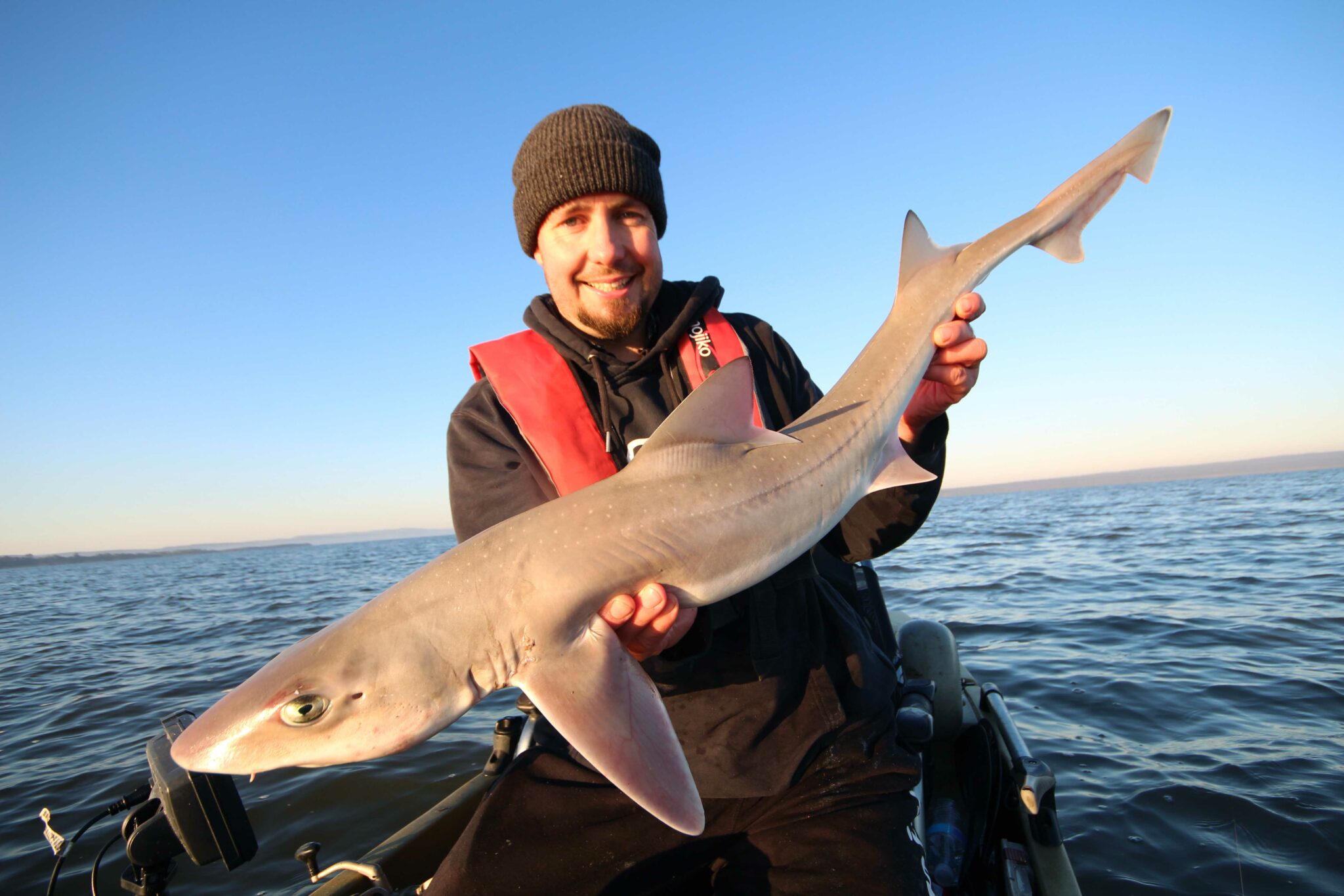 Kayak fishing for gummy sharks - Fishing World Australia