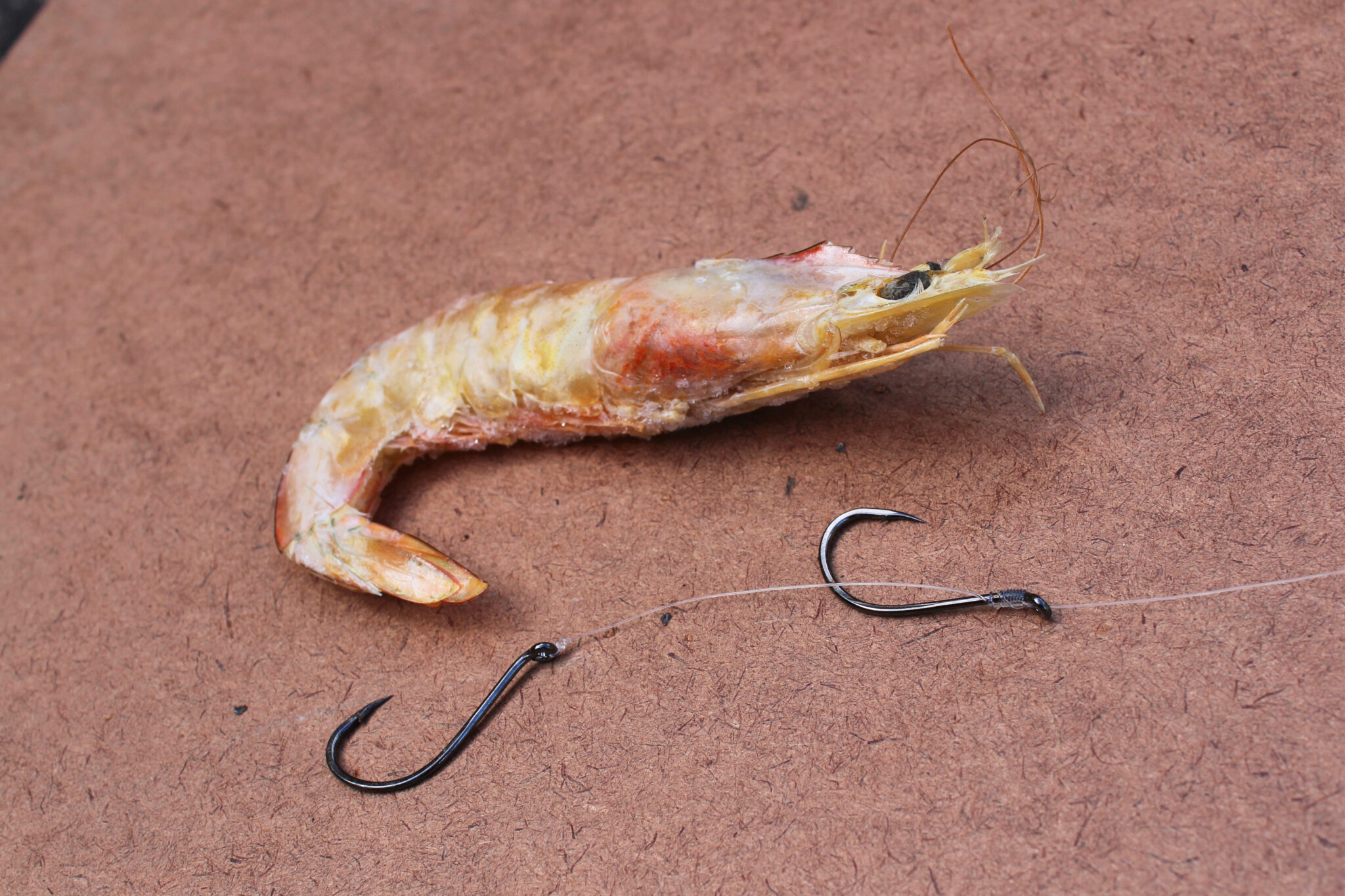 Kayak fishing for gummy sharks - Fishing World Australia