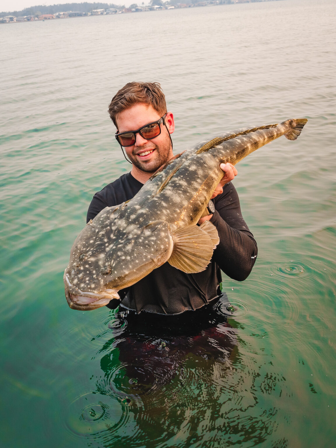 Shallow Water flathead - Fishing World Australia