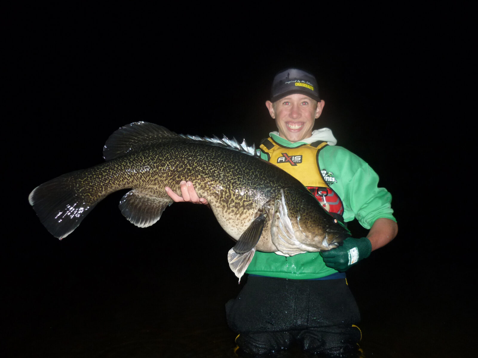 New England Murray cod - Fishing World Australia