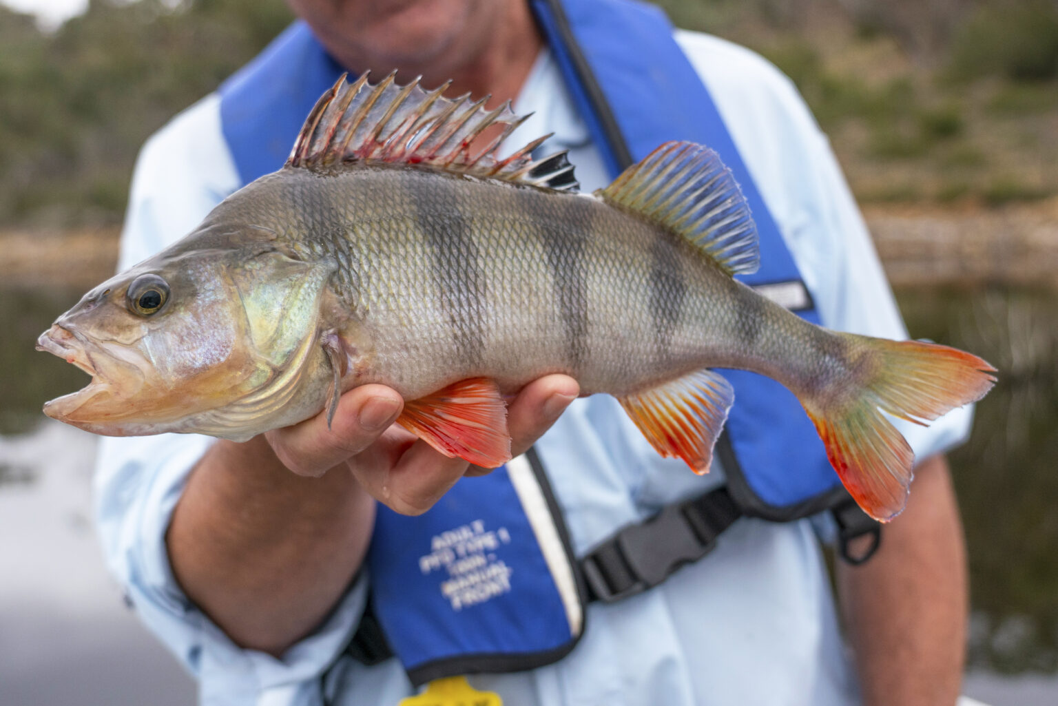Fishing around Canberra - Fishing World Australia