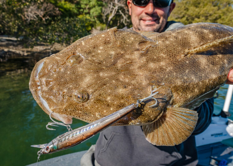 FISH FACTS: Samson fish - Fishing World Australia