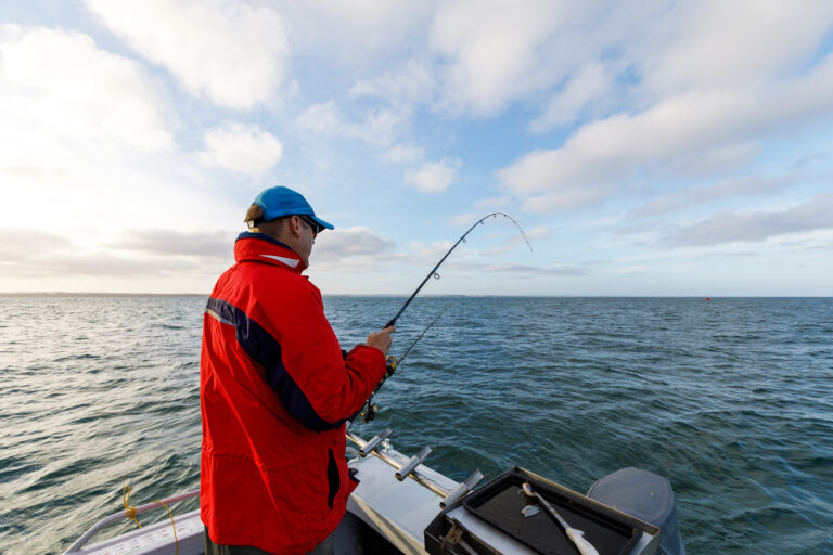 Westernport whiting - Fishing World Australia