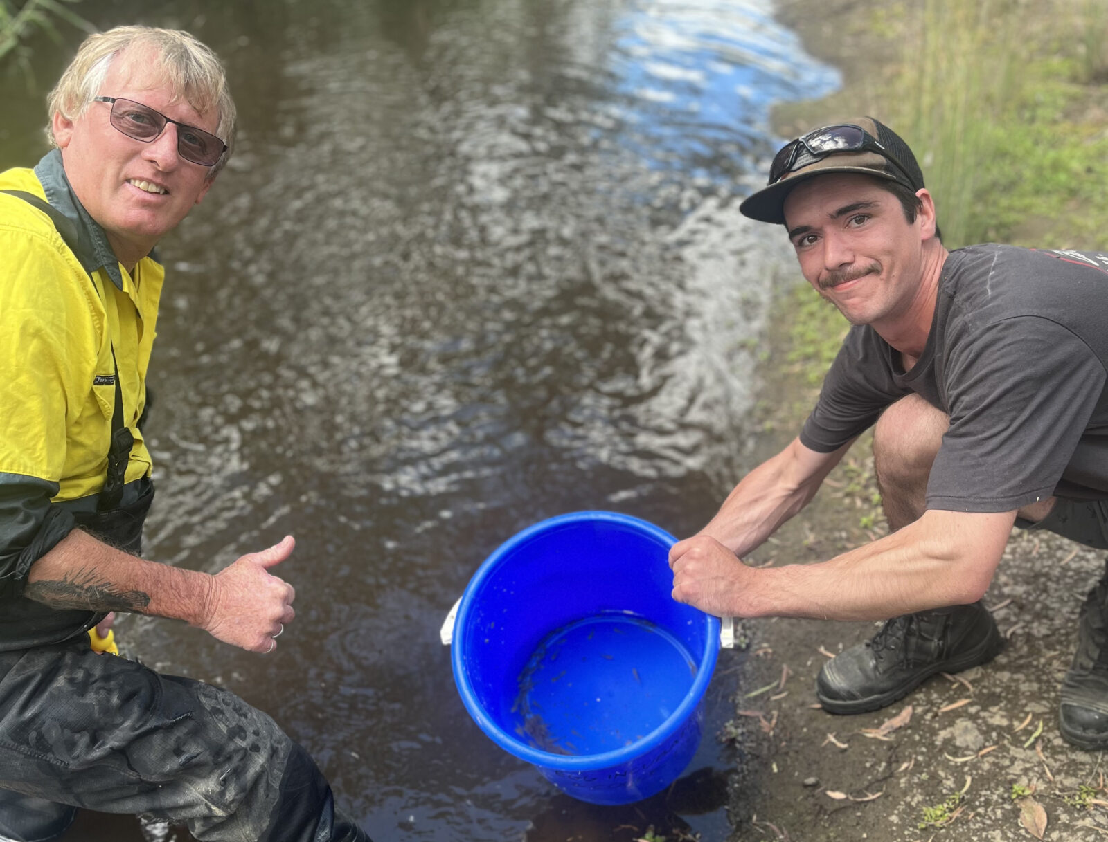 Boost for Vic trout cod - Fishing World Australia