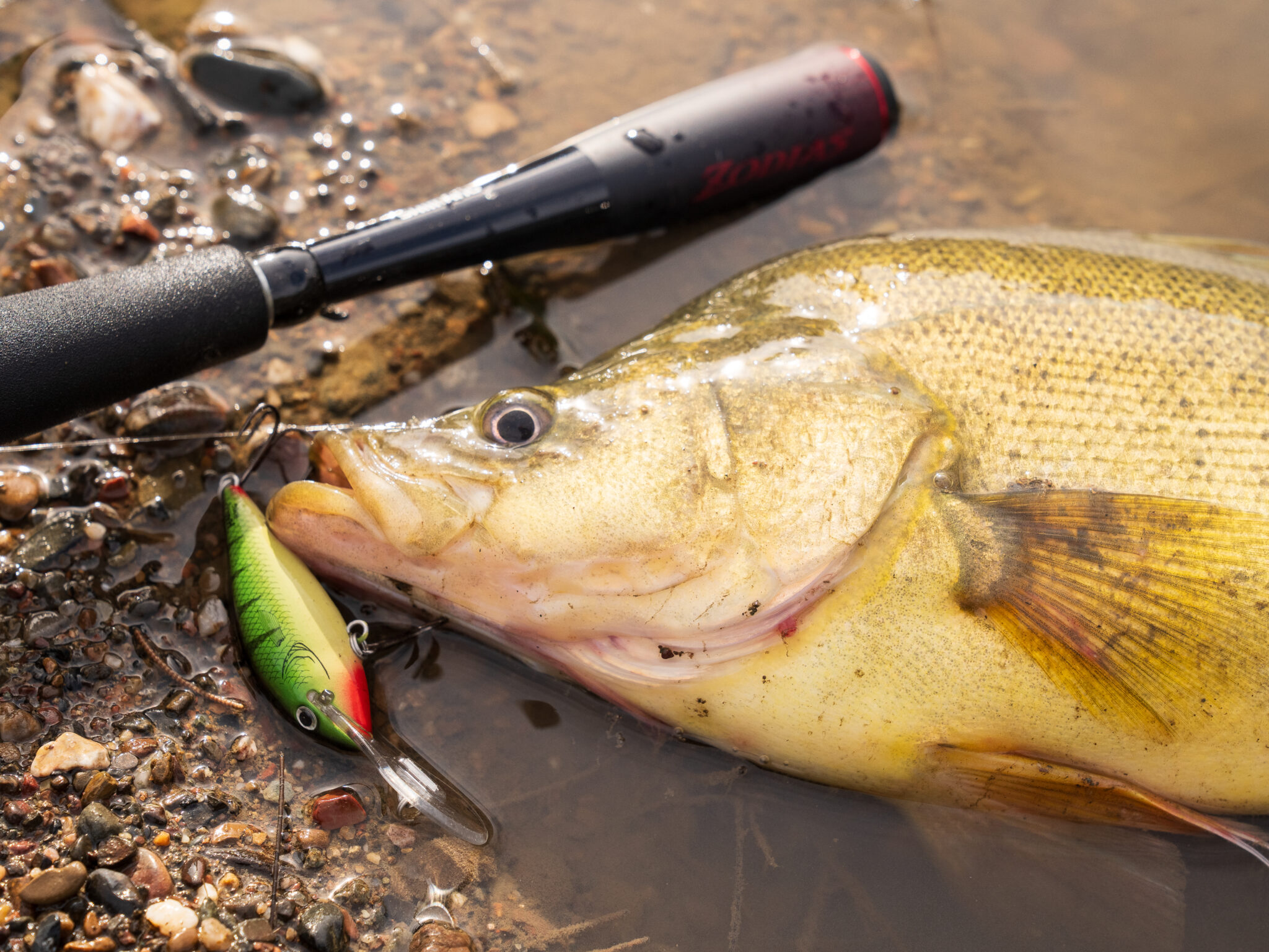 Shimano Zodias Travel rod review - Fishing World Australia