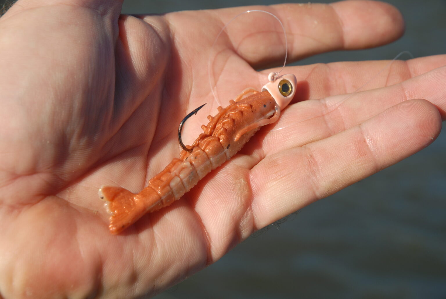 Flathead facts - Fishing World Australia