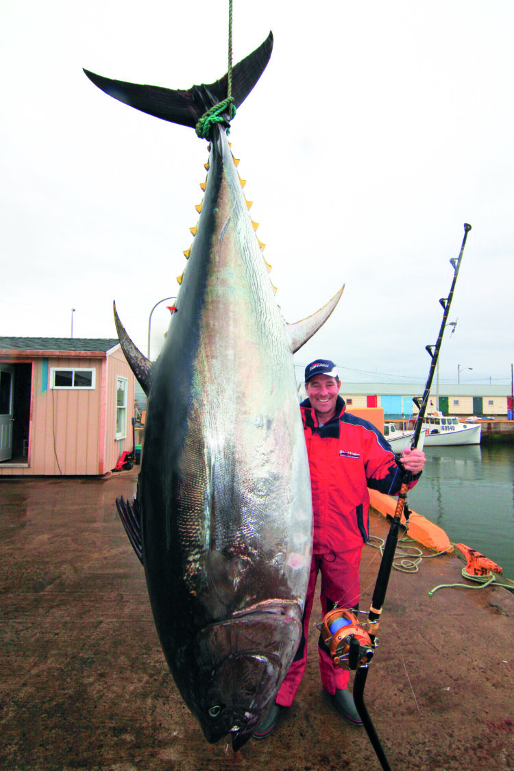 Tim Simpson receives IGFA award - Fishing World Australia