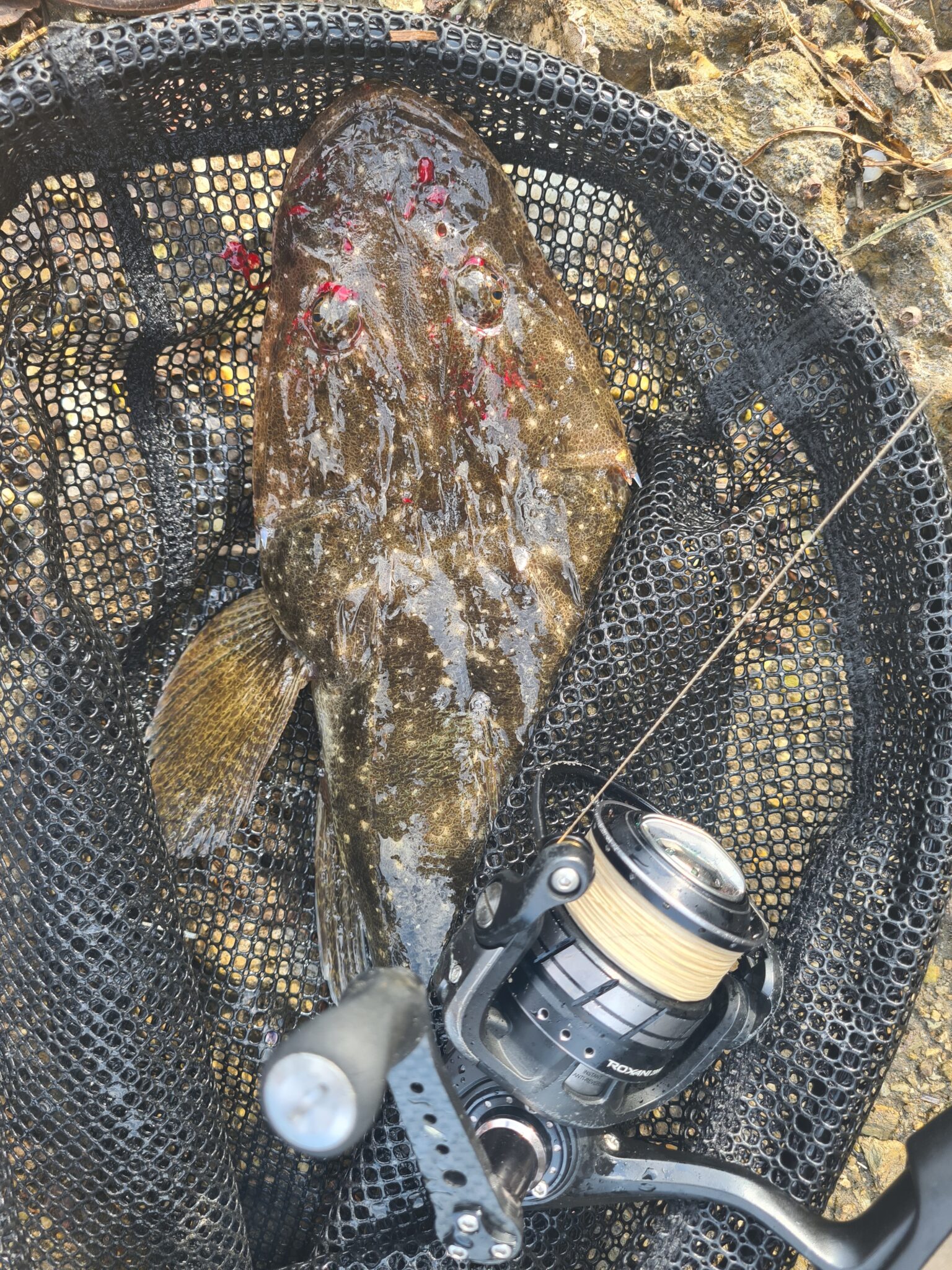 Estuary "edge fishing" techniques - Fishing World Australia