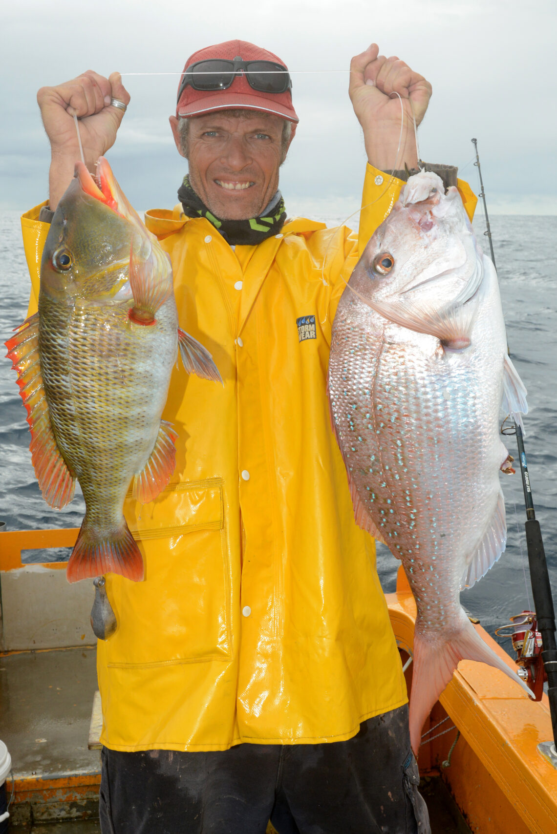 Multi Hook Rigs - Fishing World Australia