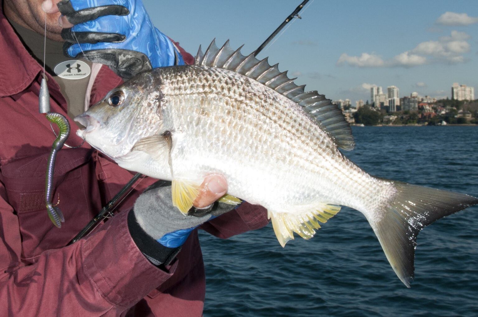 Multi Hook Rigs - Fishing World Australia