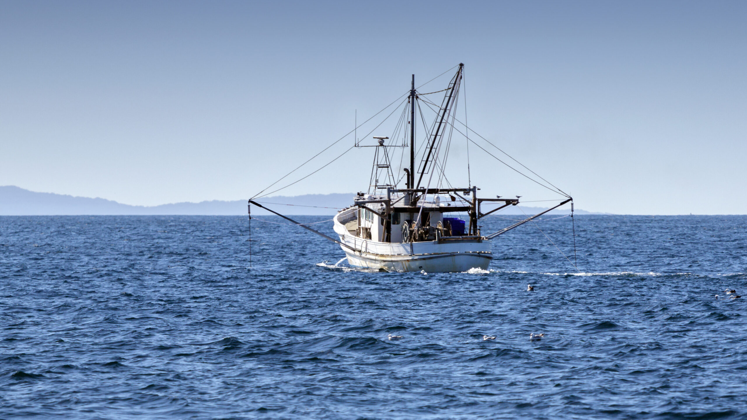 NSW Government announces commercial fishing peak body - Fishing World ...