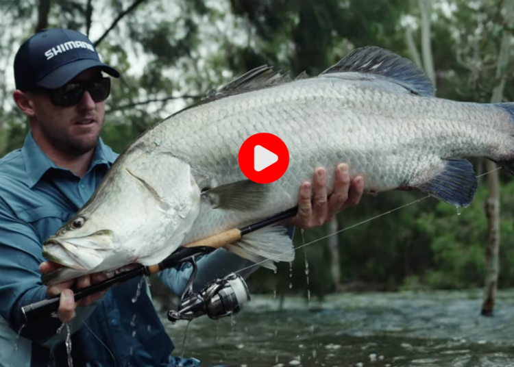 Videos archives - Fishing World Australia