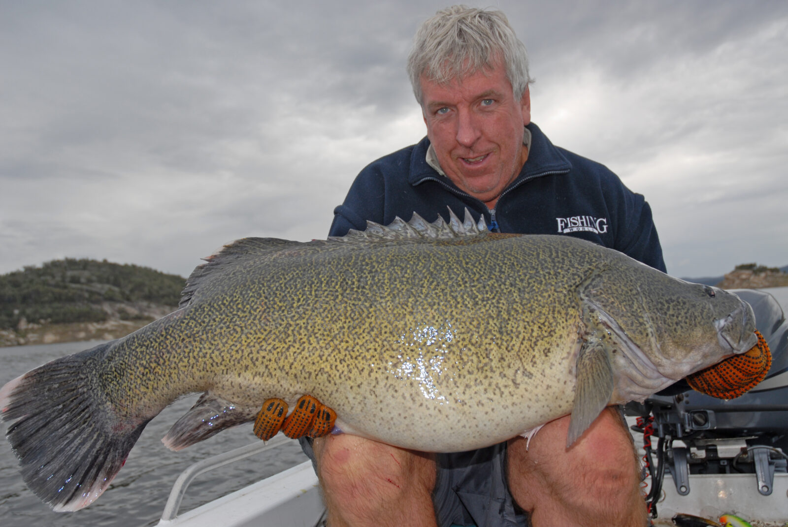 Murray Cod Basics - Fishing World Australia