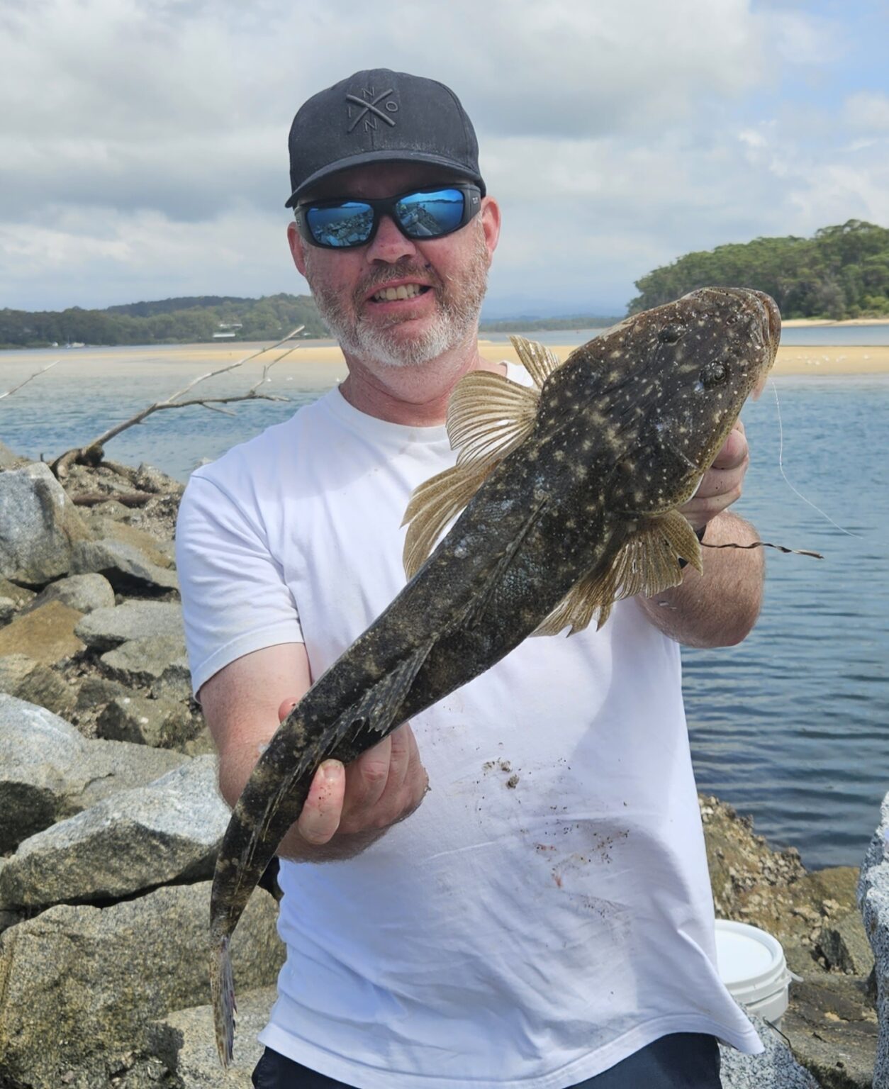 Rock wall flathead - Fishing World Australia