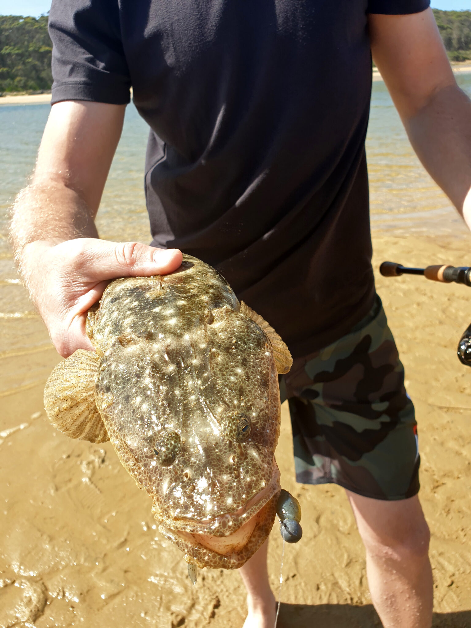 Wading The Estuaries - Fishing World Australia