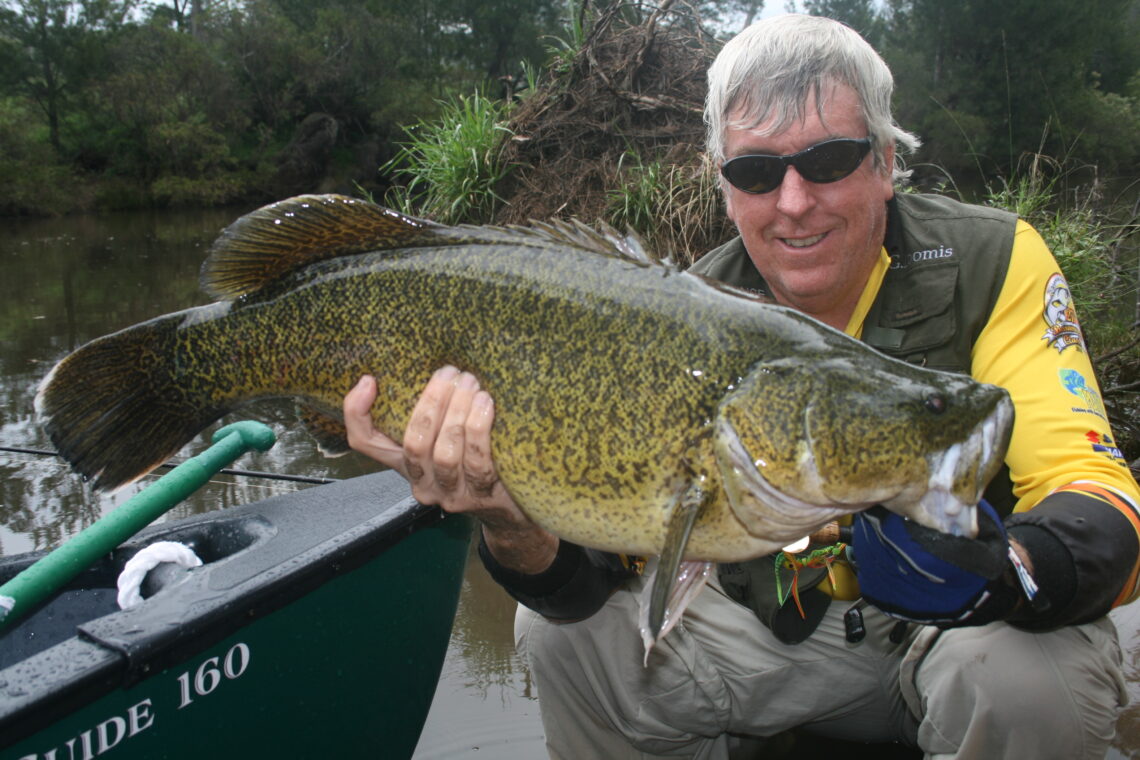 Murray Cod Basics - Fishing World Australia