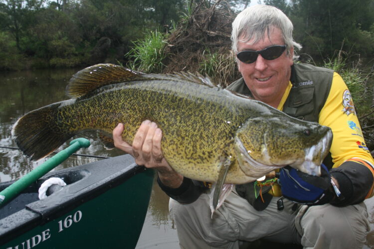 Murray Cod Basics - Fishing World Australia