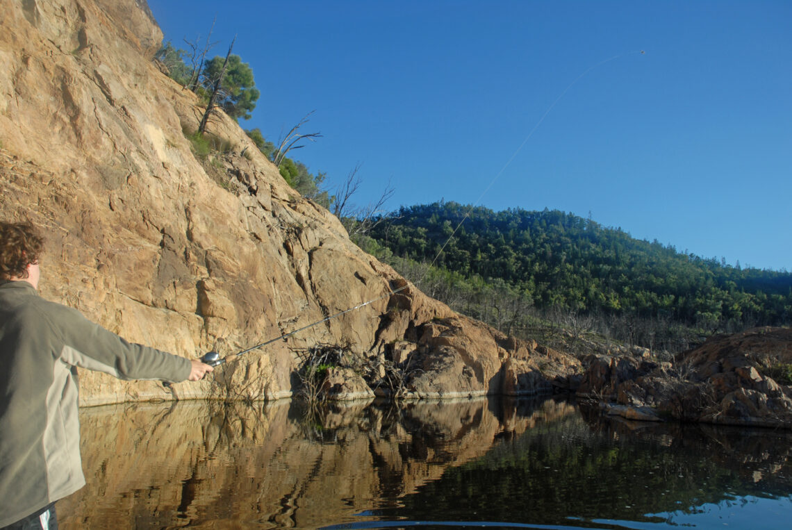 Murray Cod Basics - Fishing World Australia