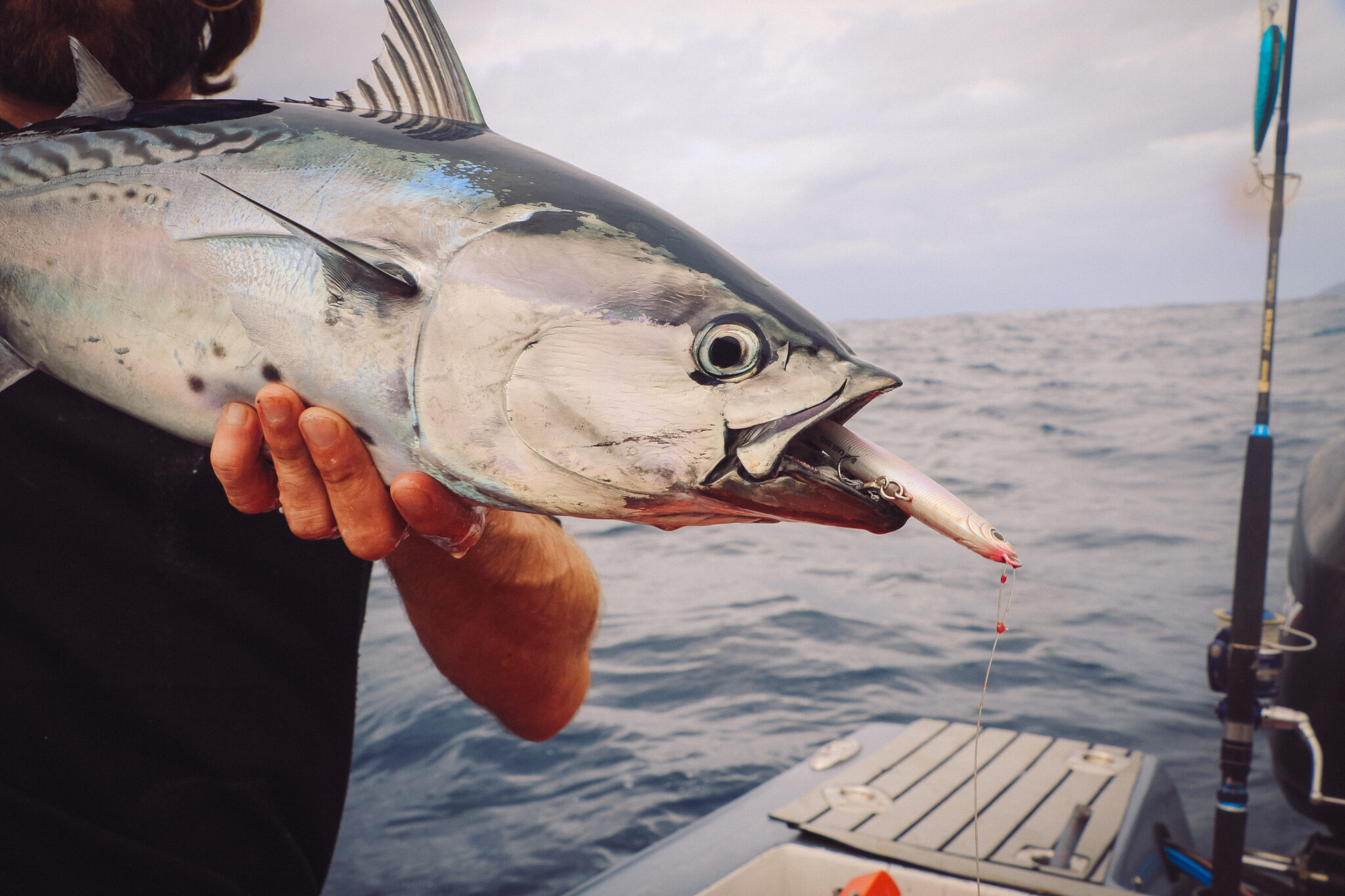 Chef 2 Farmer - Fishing World Australia