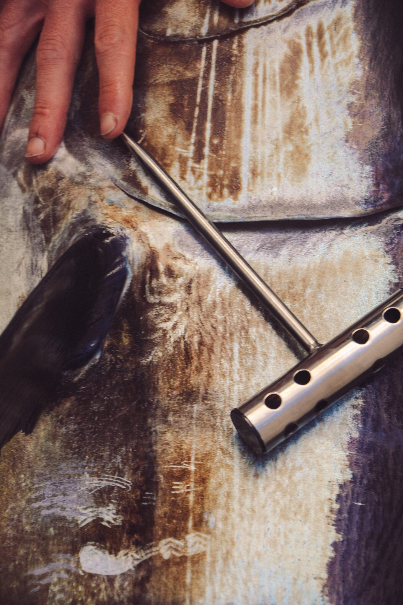 The Fish Butchery - Fishing World Australia