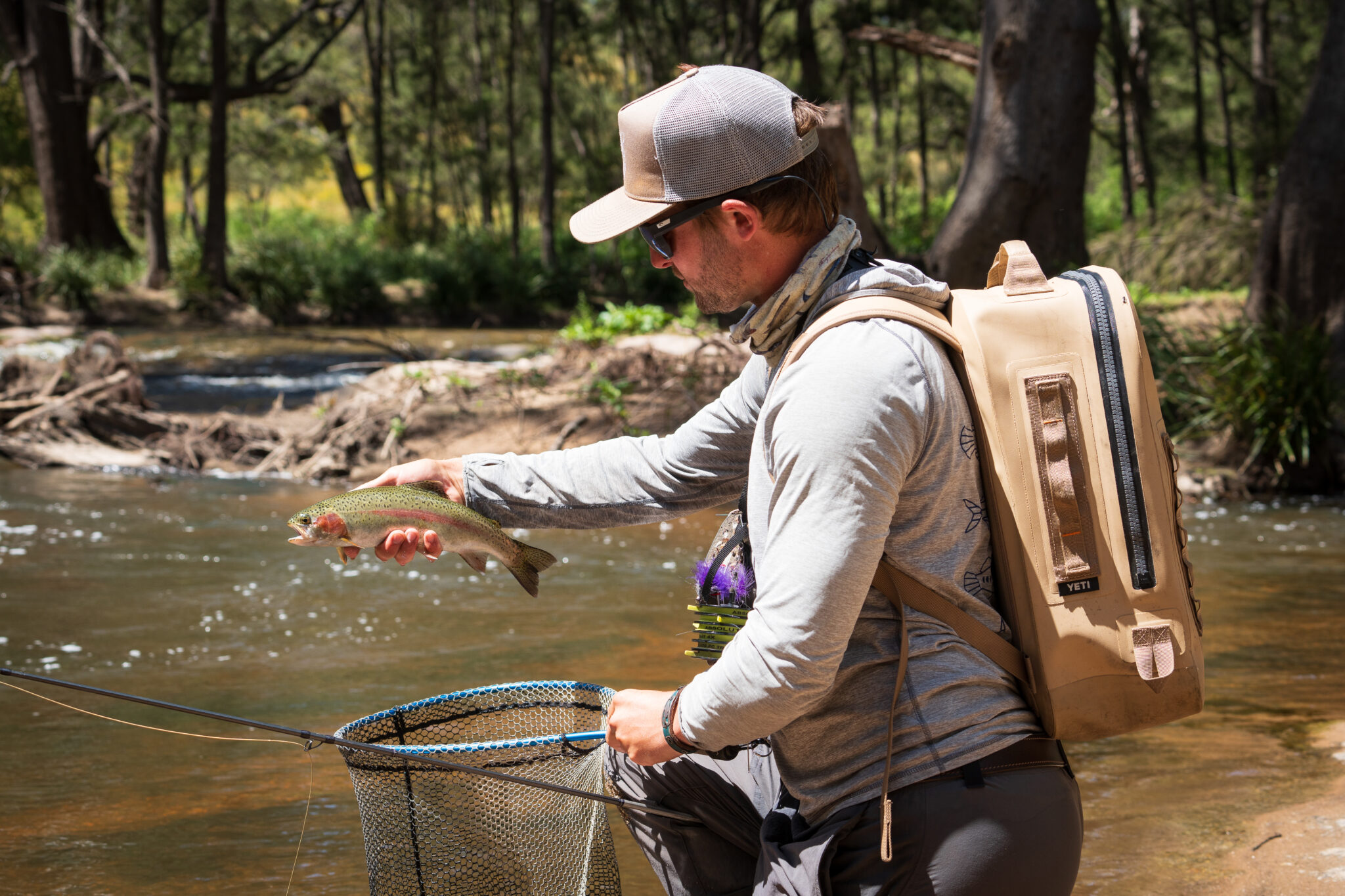 Blue Mountains trout - Fishing World Australia