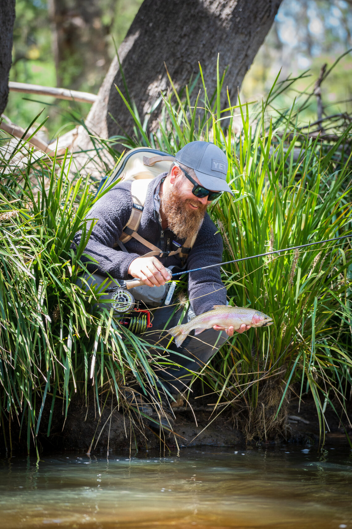 Blue Mountains trout - Fishing World Australia