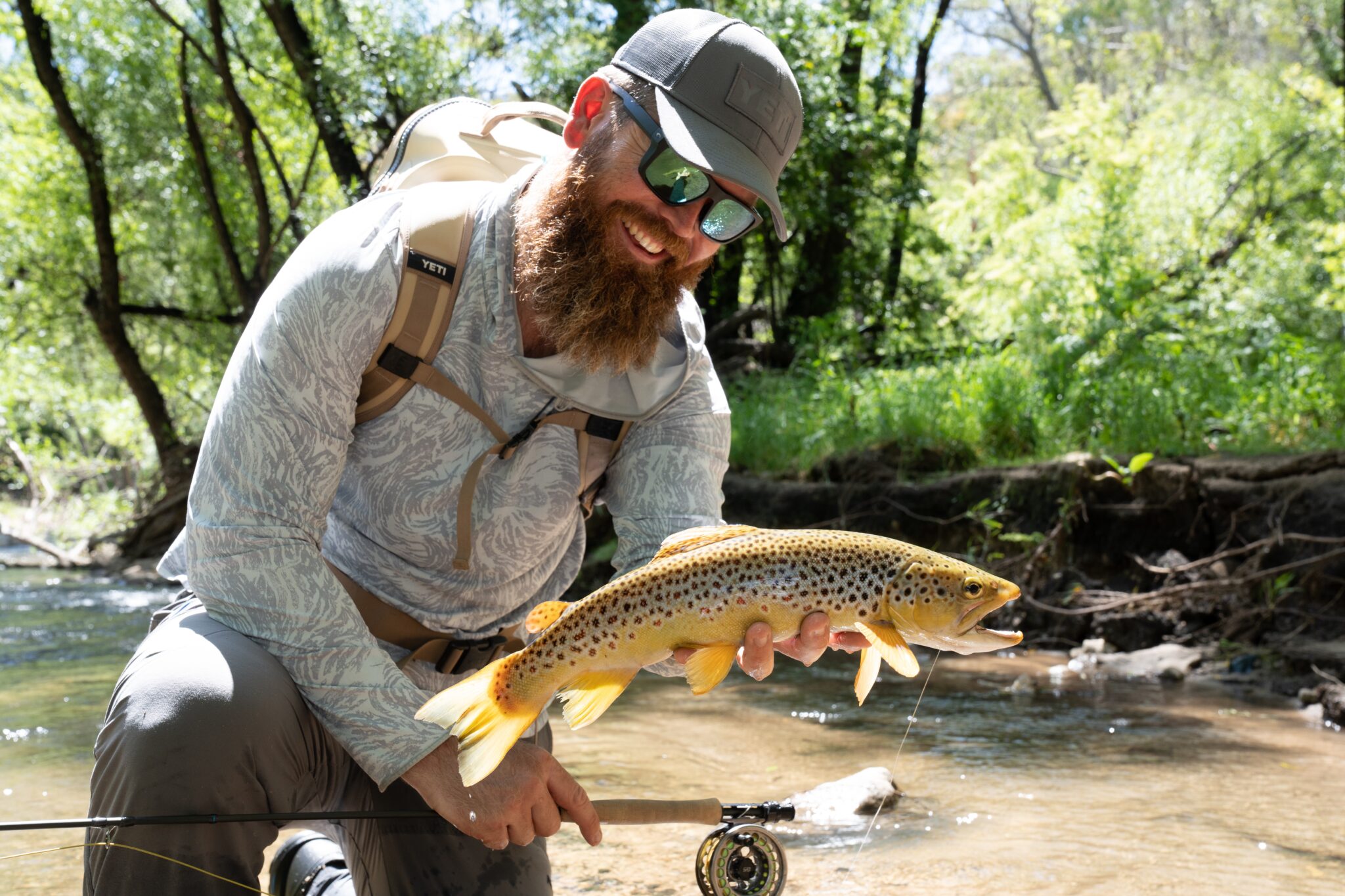 Blue Mountains trout - Fishing World Australia