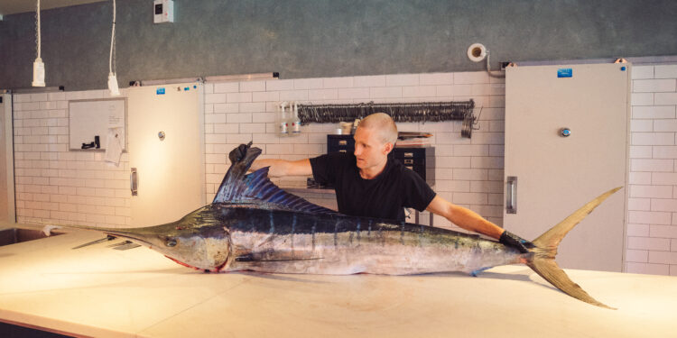 Seafood Archives - Fishing World Australia