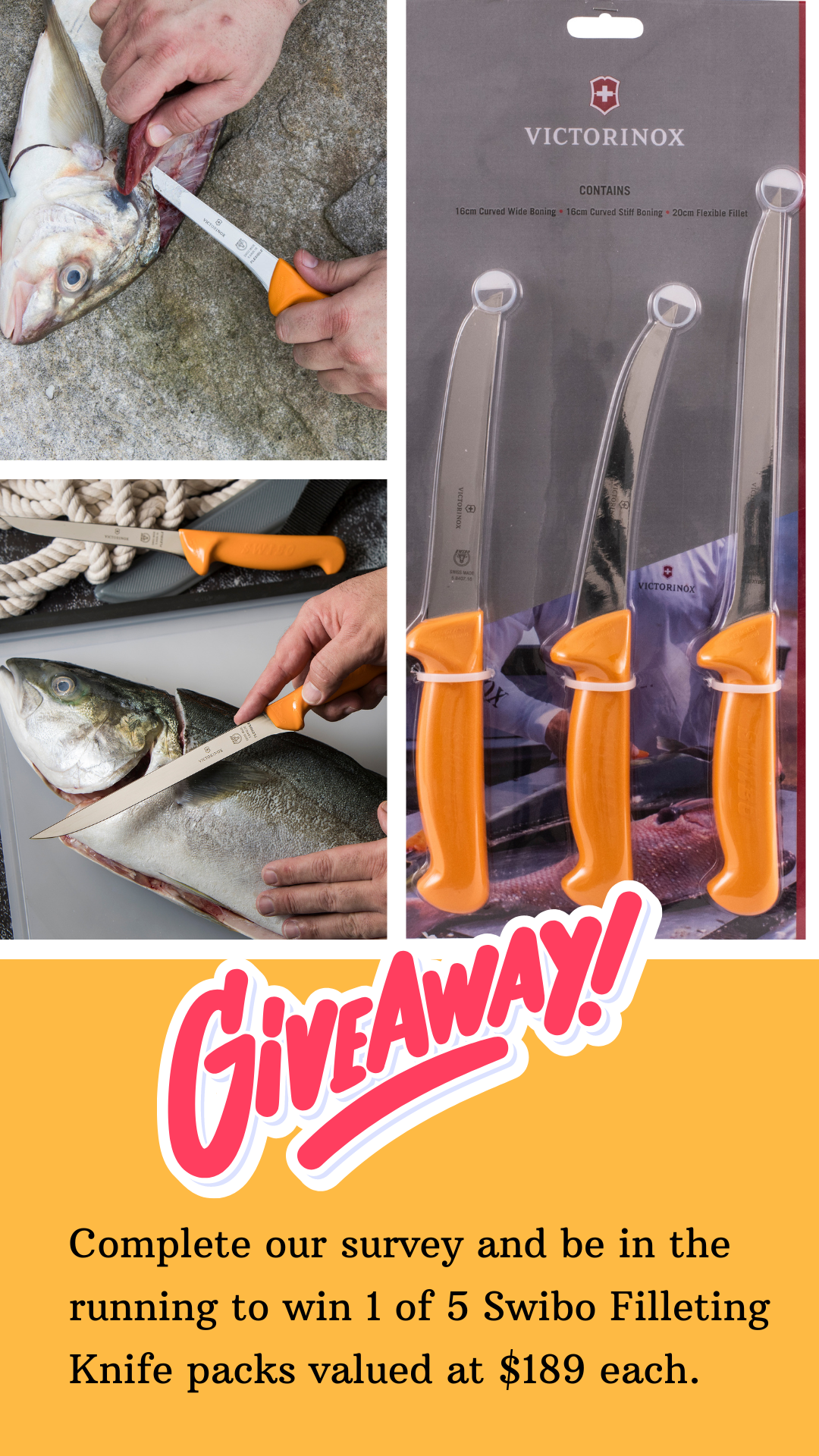 Swibo giveaway winners announced - Fishing World Australia