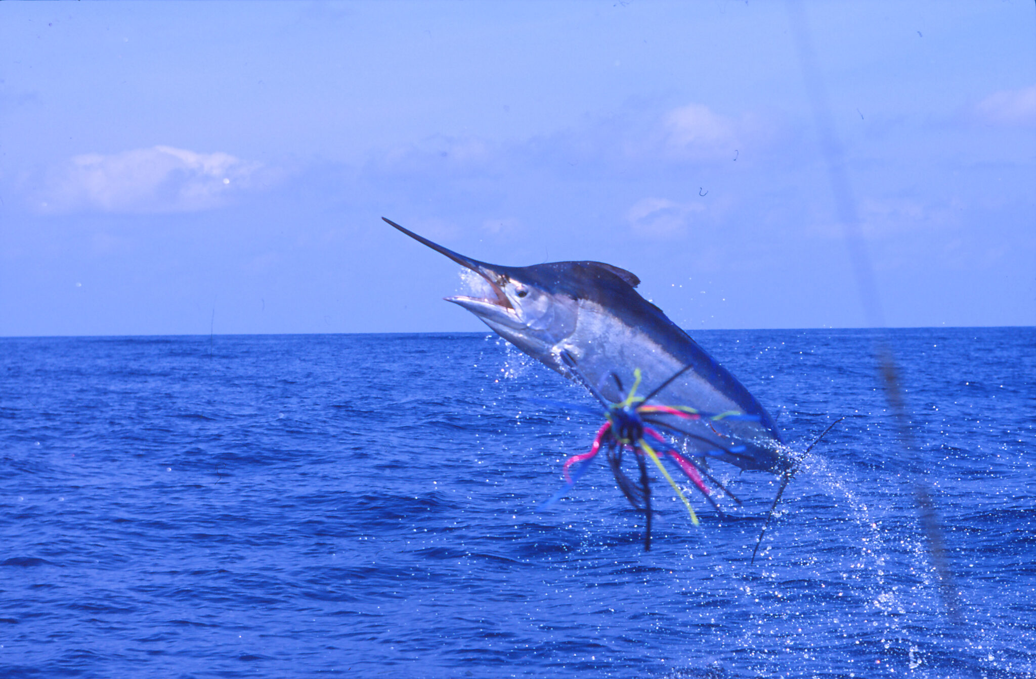 Marlin lure hooks - Fishing World Australia