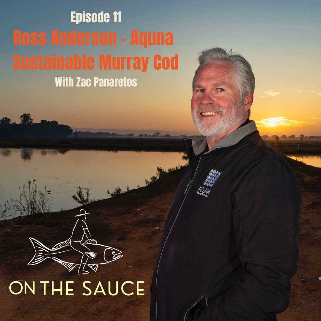 On The Sauce: Aquna Sustainable Murray Cod - Fishing World Australia