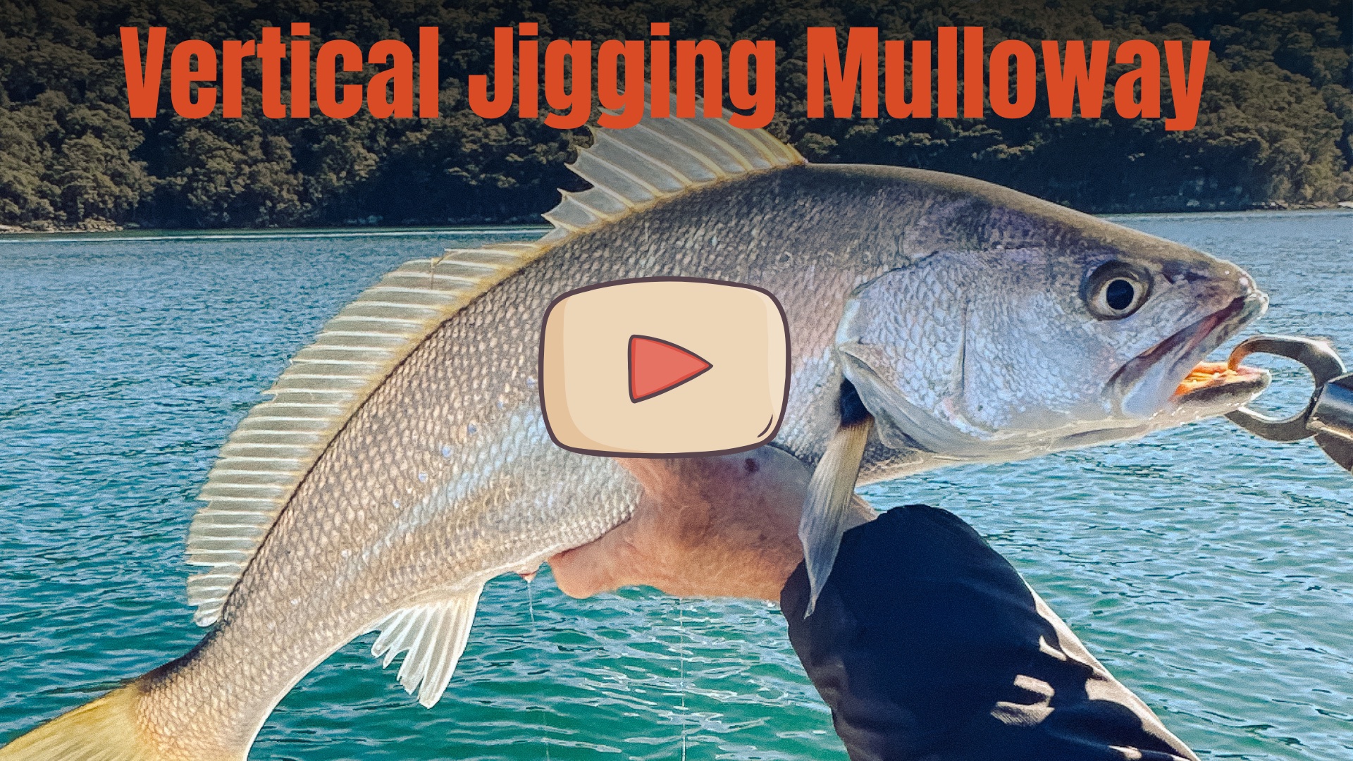 Winter mulloway secrets - Fishing World Australia
