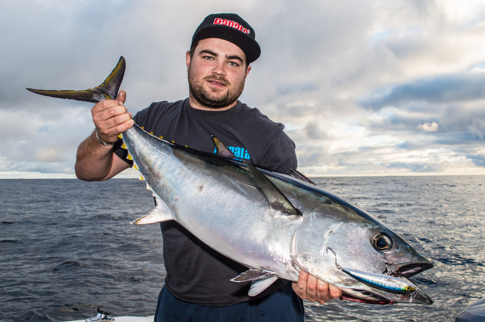 Species Guide: Southern bluefin tuna - Fishing World Australia