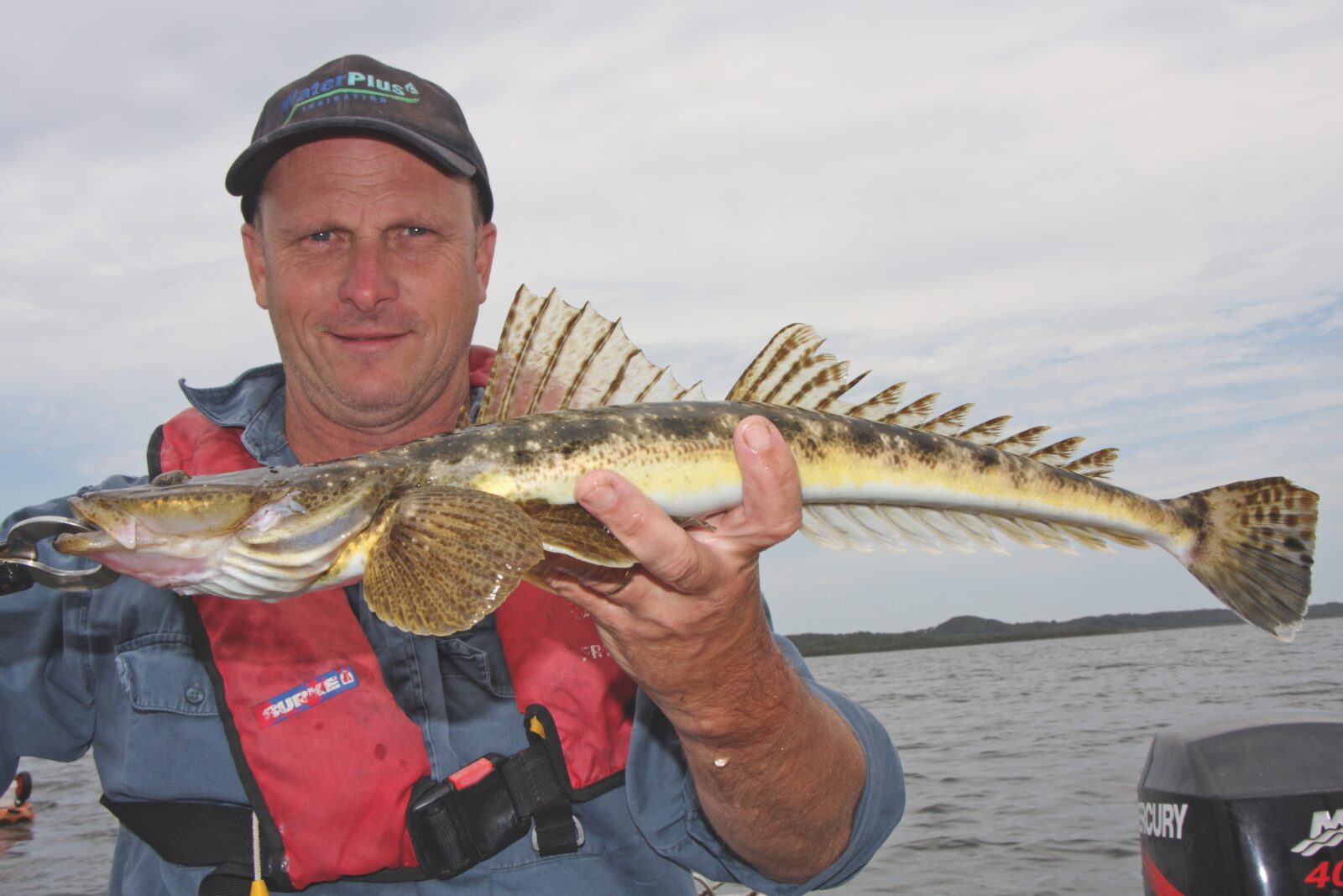 Victorian dusky flathead - Fishing World Australia