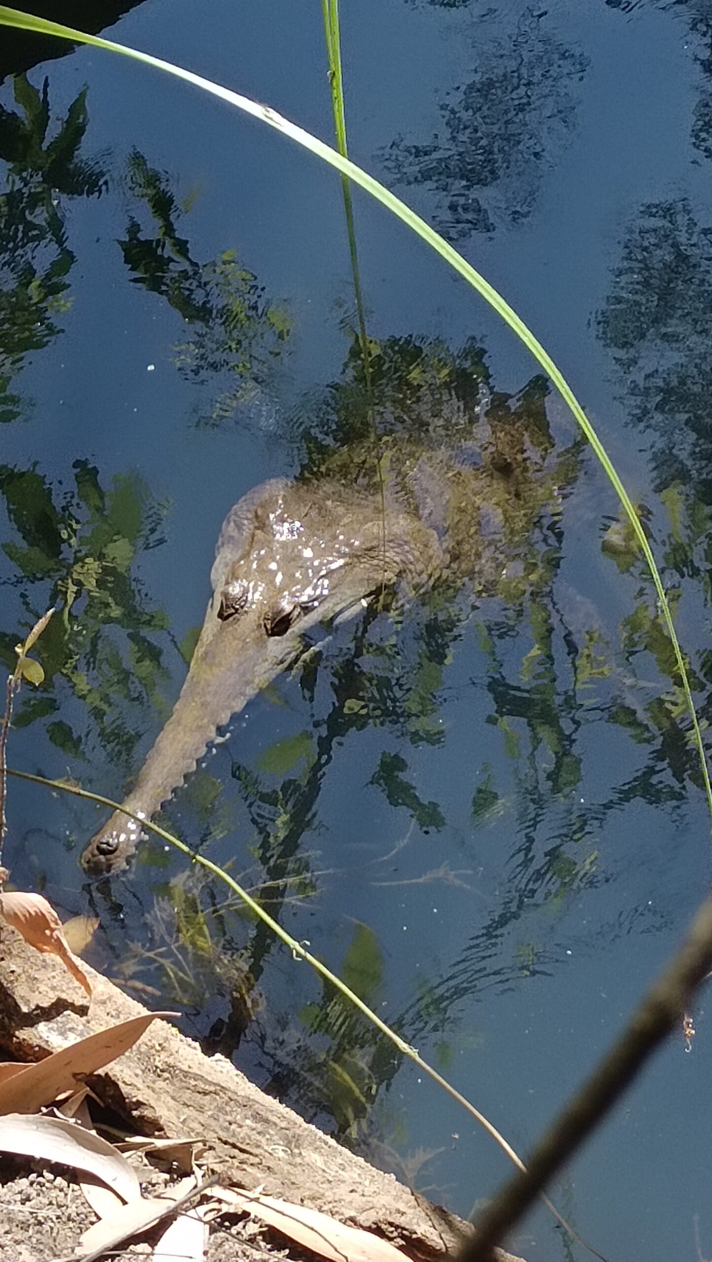 Fishing the Gulf of Carpentaria - Fishing World Australia