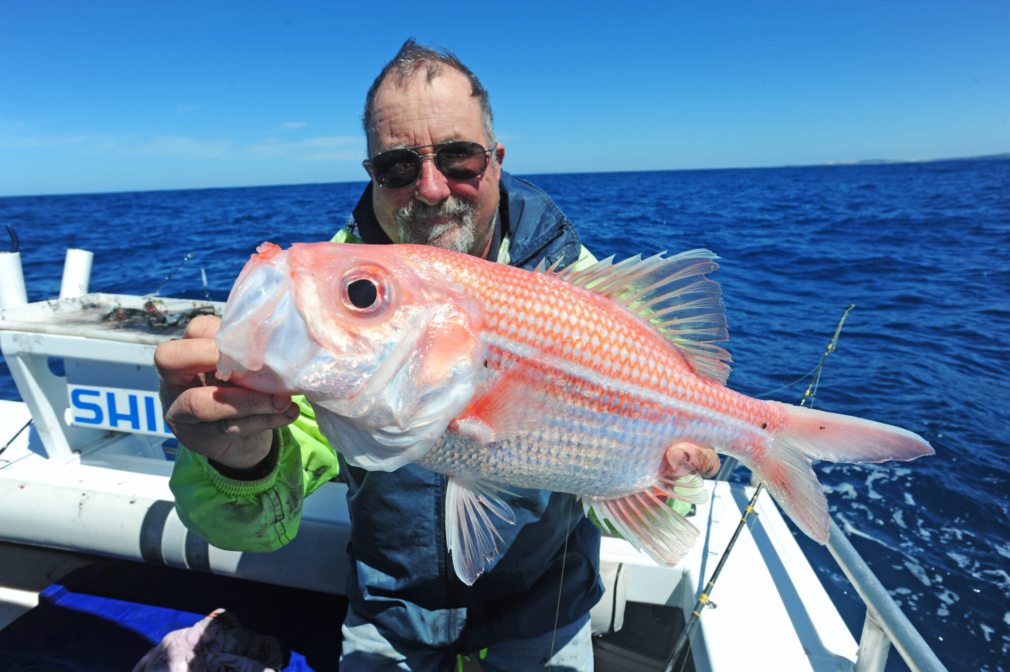 South Australian red snapper - Fishing World Australia