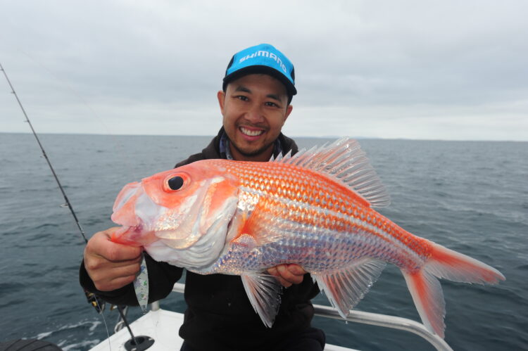 South Australian red snapper - Fishing World Australia