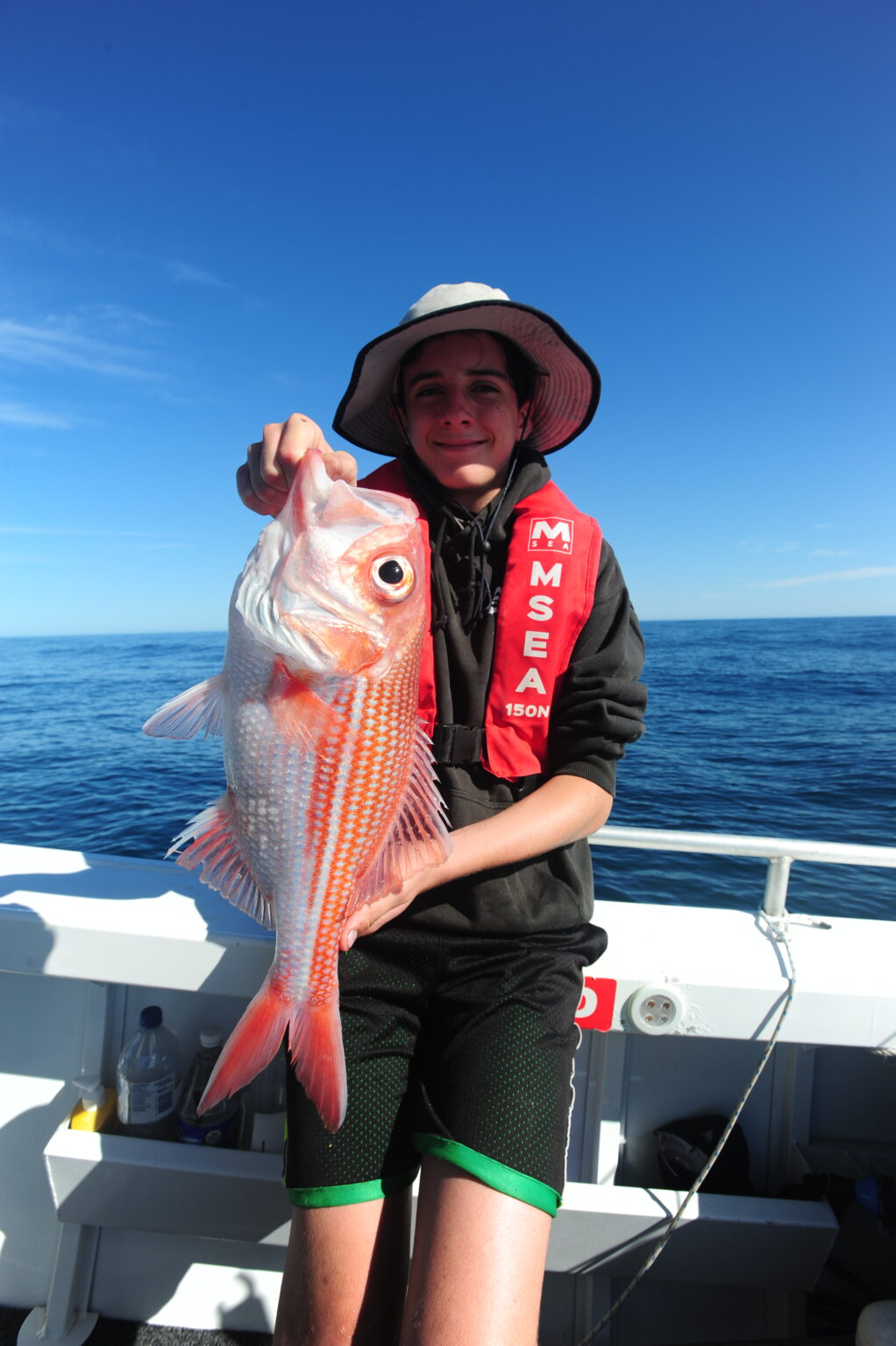 South Australian red snapper - Fishing World Australia